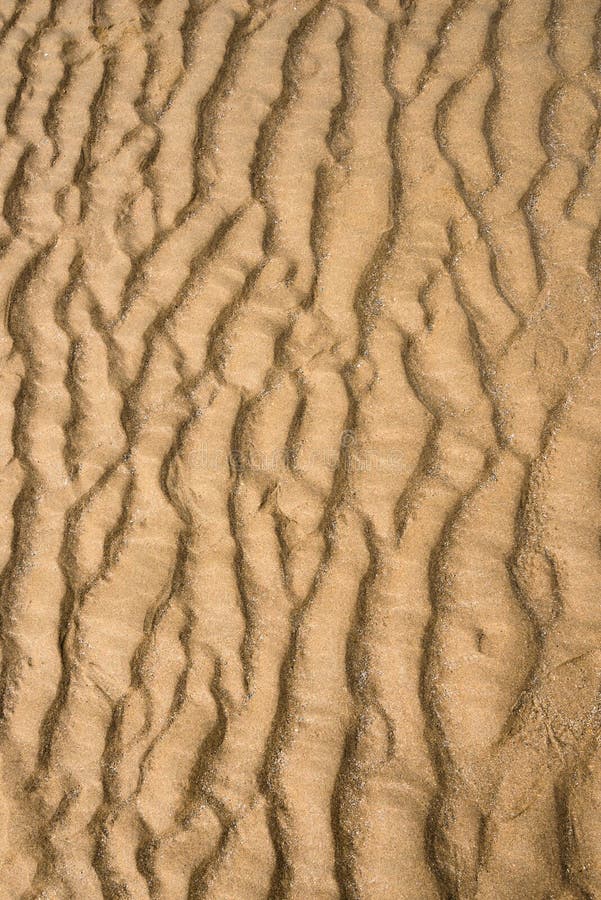 Beach Sand Full Frame Texture Background Natural Shape Horizontal Stock ...