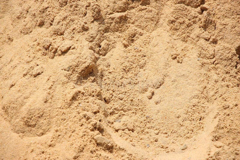 Beach sand grain stock photo. Image of beach, view, grained - 40509328