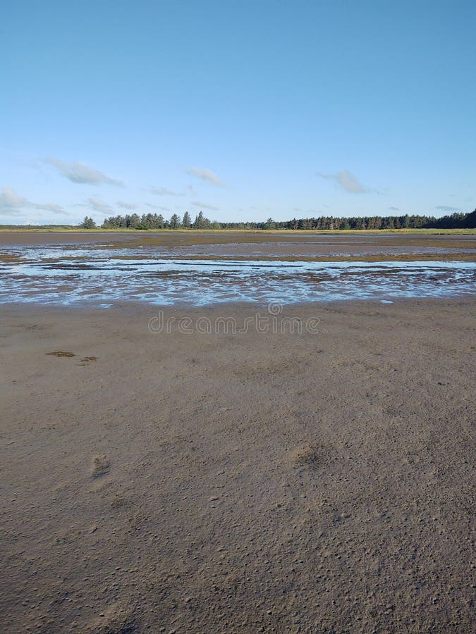Beach, sand, low tide stock image. Image of sand, wood - 241712161