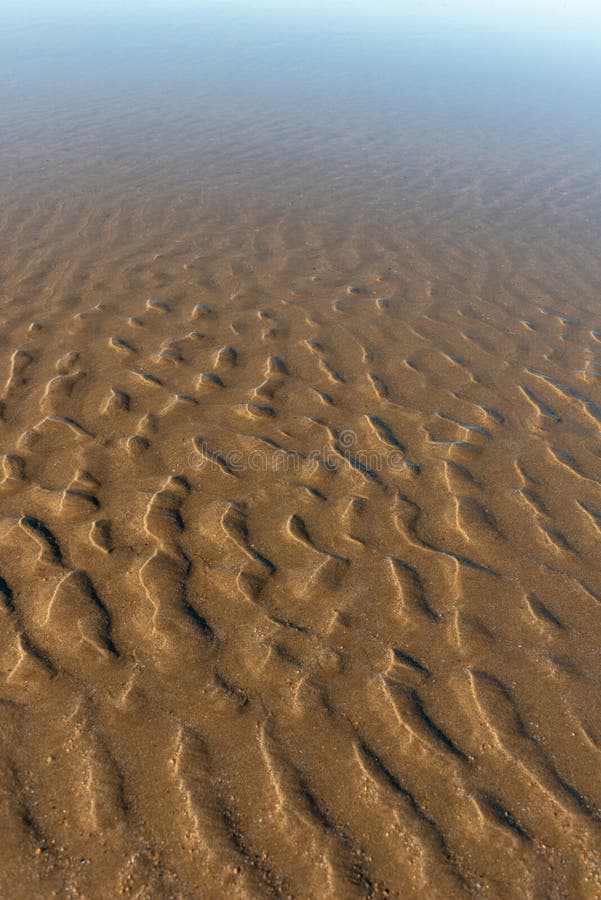 Beach sand at low tide stock image. Image of closeup - 172242721