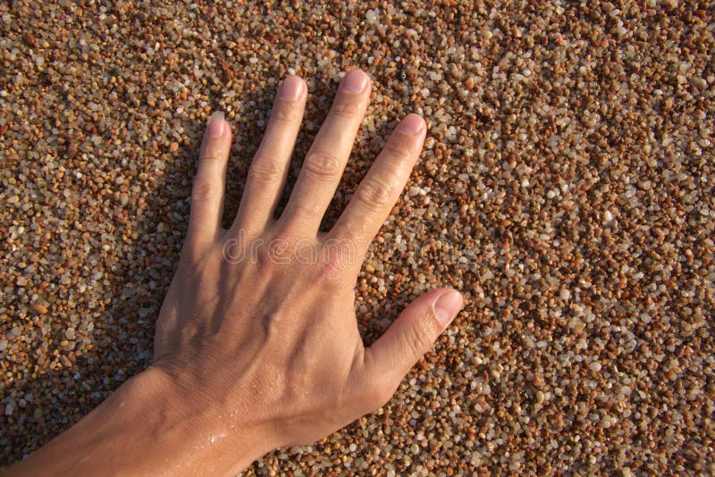 Beach sand and men s arm stock image. Image of beach - 10823907