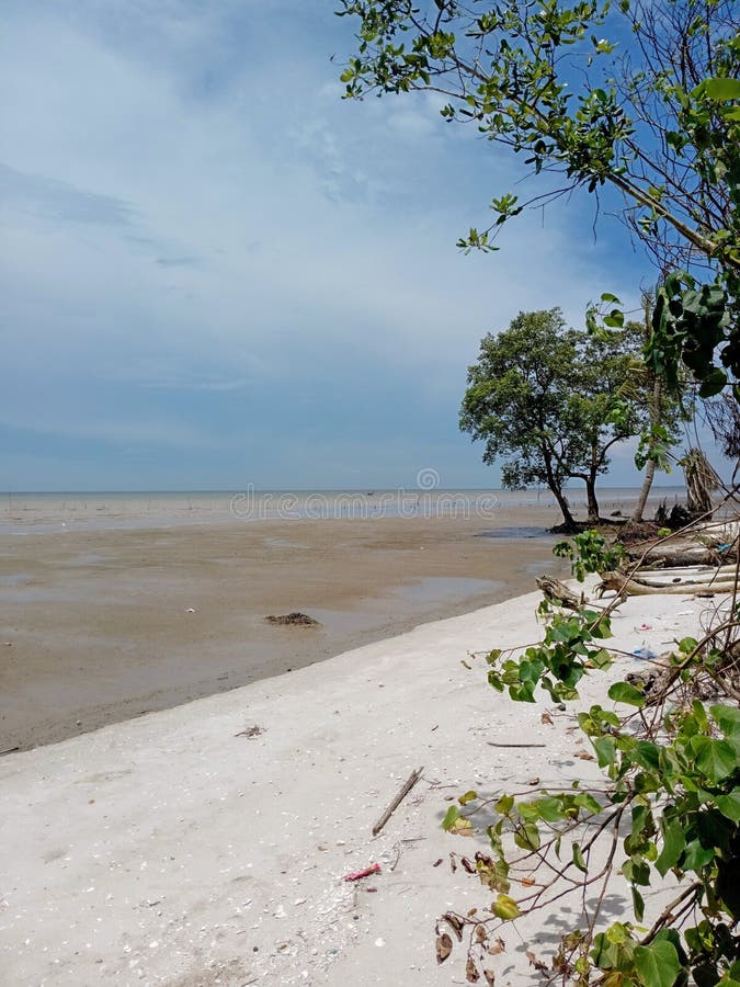 A Beach with Sand and Mud on the Edge in the Afternoon Stock Image ...