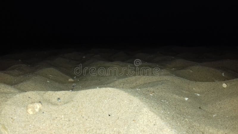 Nature stock photo. Image of beach, night, sand, romantically - 135362902