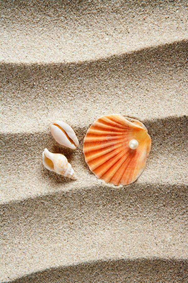 Beach Sand Pearl Shell Summer Vacation Stock Photo - Image of coast ...