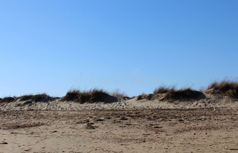 Beach sand photo stock photo. Image of relax, blue, sand - 88788968