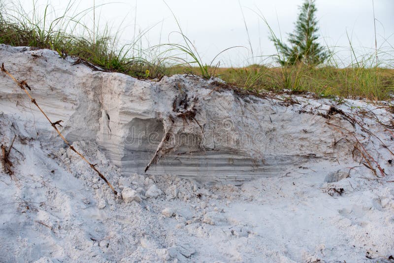 Beach corrosion stock photo. Image of cuisine, orange - 265286900