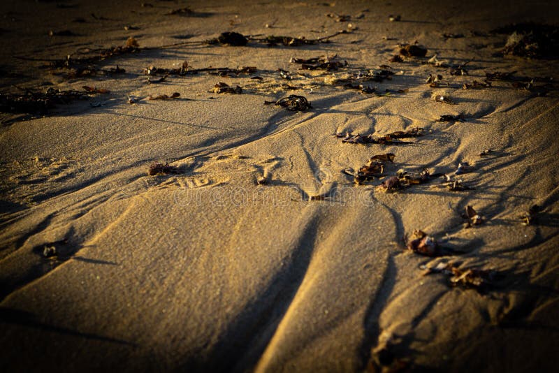 283 Random Beach Landscape Stock Photos - Free & Royalty-Free Stock ...