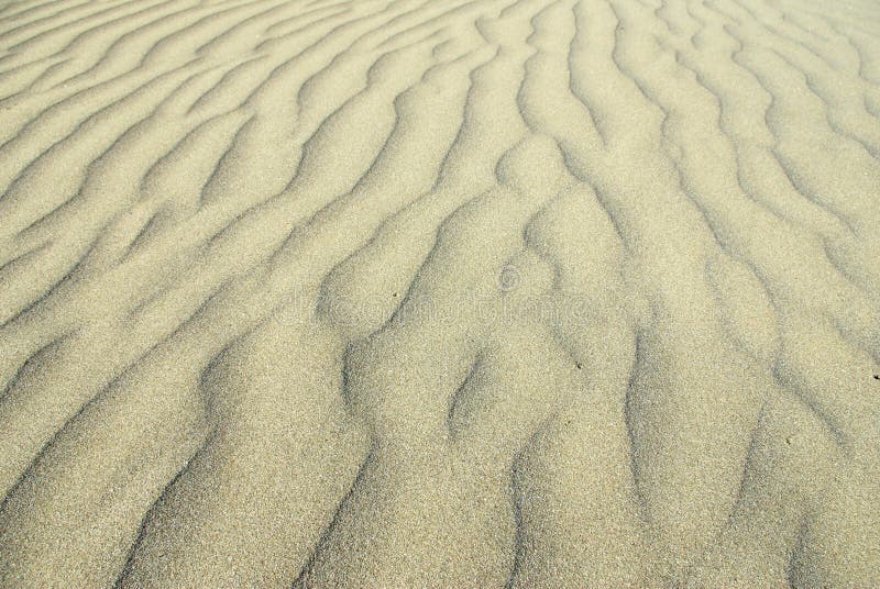Beach with sand ripples stock image. Image of lonely - 24239073