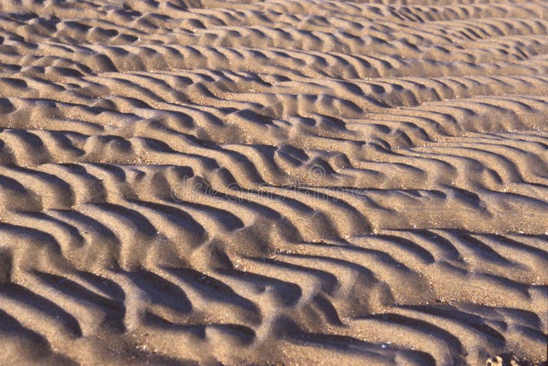 Beach sand ripples stock image. Image of sand, ripples - 4279465