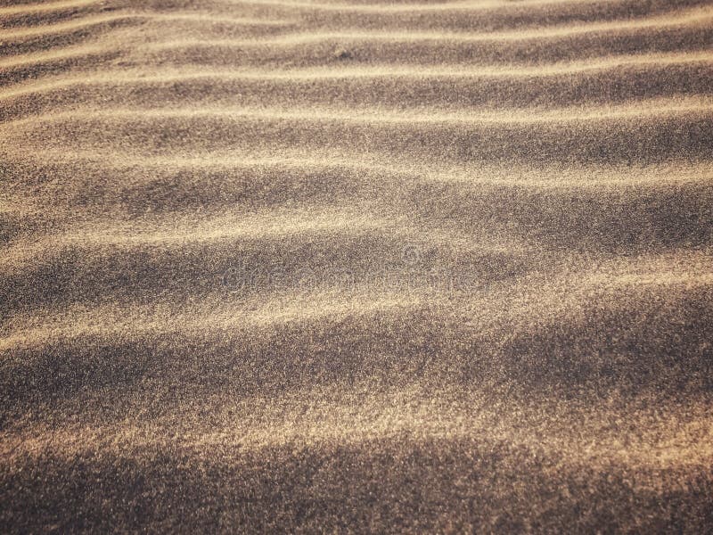 Beach sand ripples stock photo. Image of ripple, beach - 139550414