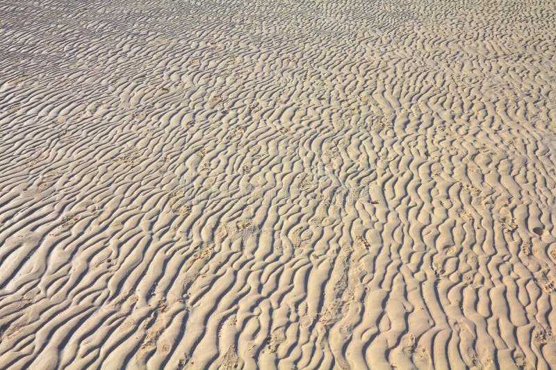Sand Ripples stock image. Image of beach, desert, grain - 78947197