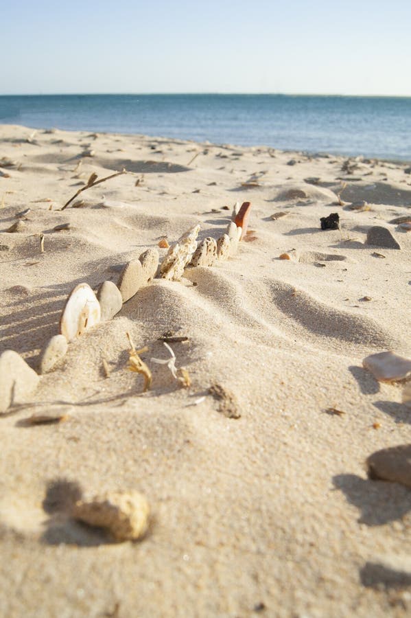Beach, Sand, Rocks and Water Stock Image - Image of vacation, ocean ...