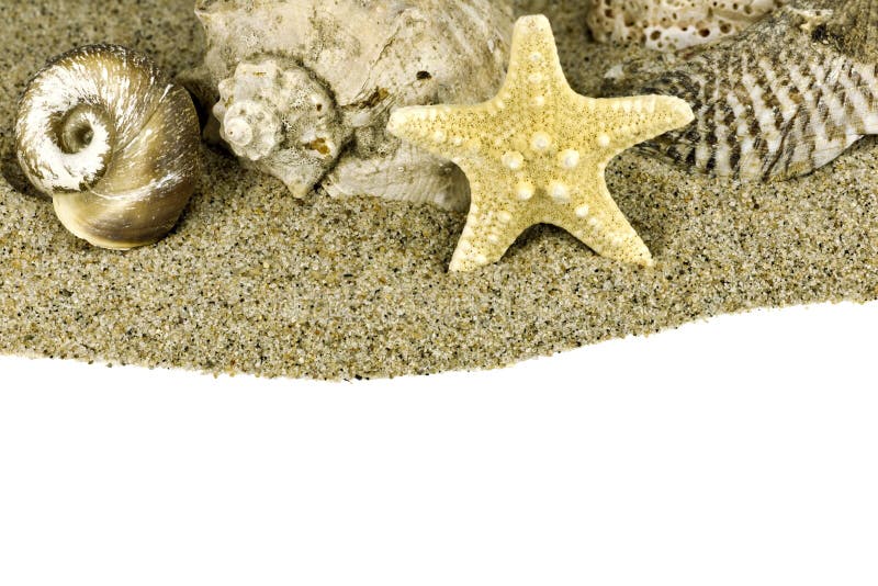 Beach sand and sea shell stock photo. Image of sand, vacations - 14411848