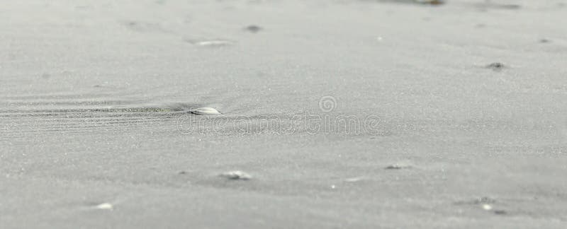 Beach Sand with Sea Water, Texture, Seashore Stock Image - Image of ...