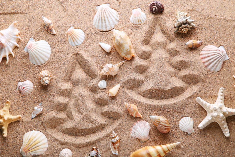 Beach sand with seashells stock photo. Image of seashell - 94761162