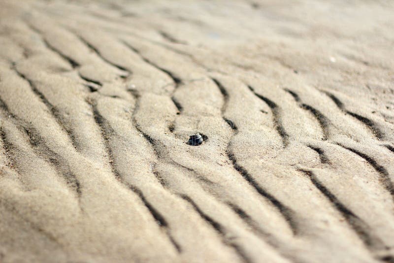 126 Makro Beach Stock Photos - Free & Royalty-Free Stock Photos from ...