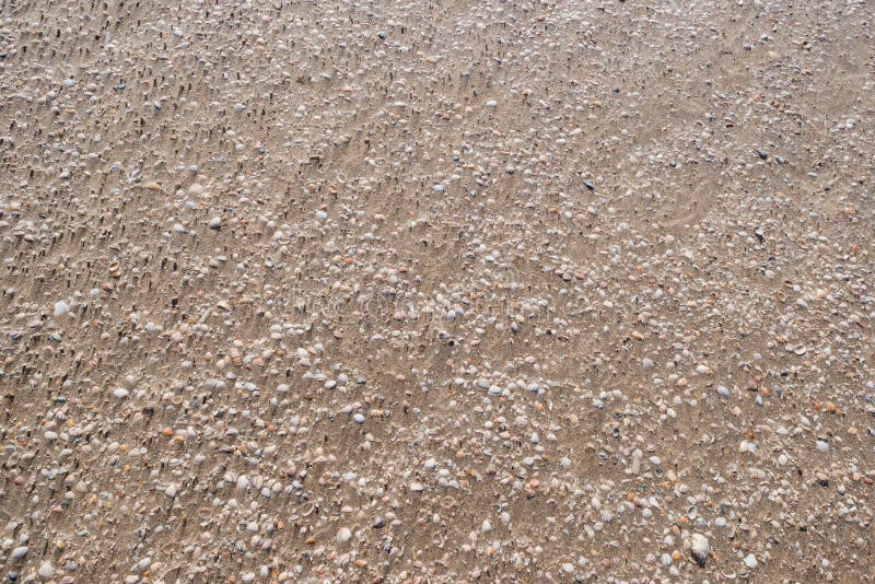 Sea Ocean Shell in Beach Sand Pattern Stock Image - Image of nature ...