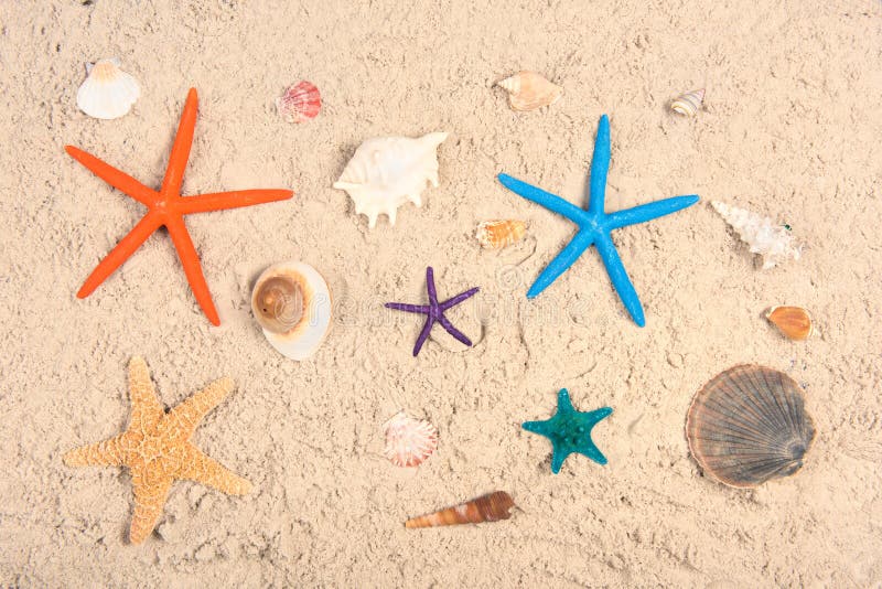 Beach sand and shells stock image. Image of vacation - 155870649