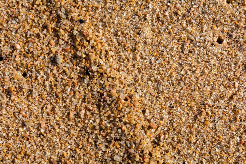 Beach Sand with Small Pebbles and Shells Stock Image - Image of colors ...