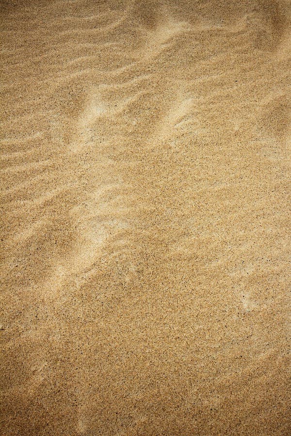 Beach Sand stock photo. Image of natural, texture, design - 2498186