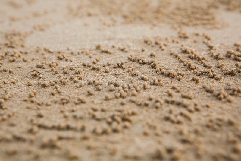 Beach sand texture stock image. Image of natural, ripple - 64603955