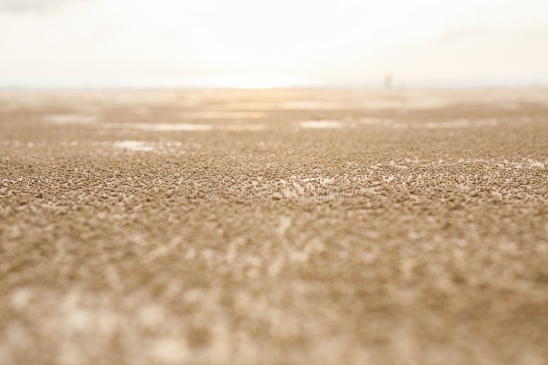 Beach sand texture stock image. Image of detail, outdoor - 64603987