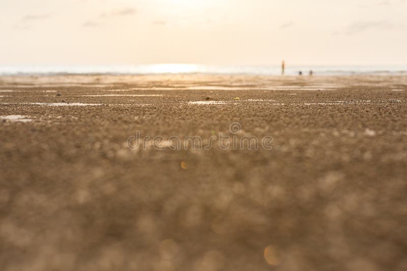 Beach sand texture stock photo. Image of desert, coastal - 64604030