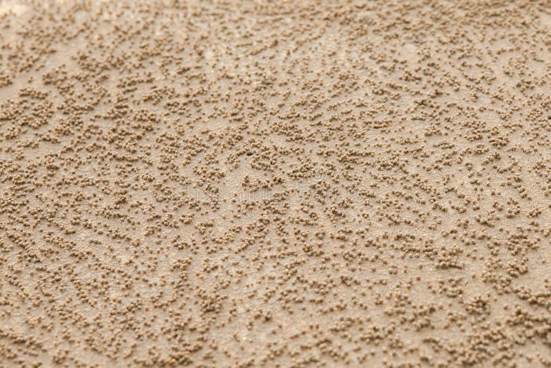 Beach sand texture stock image. Image of structure, abstract - 64604077