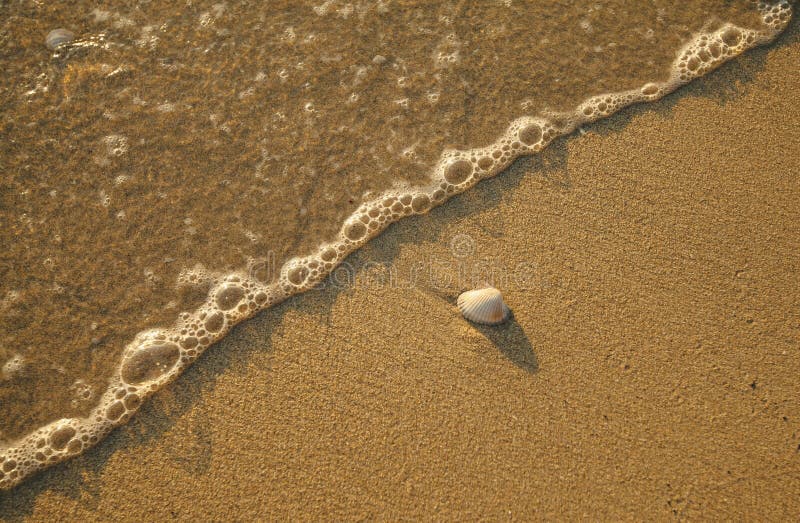 Beach Sand Texture with a Shell and a Light Wave. Stock Image - Image ...