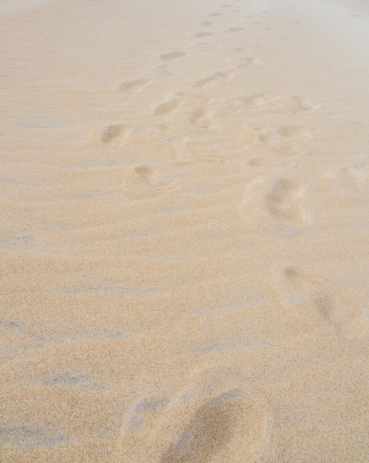 Beach sand texture stock image. Image of wallpaper, clear - 101885133