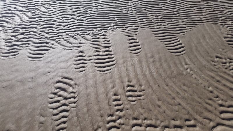 Beach and Sand Trace stock photo. Image of beach, geology - 175303802