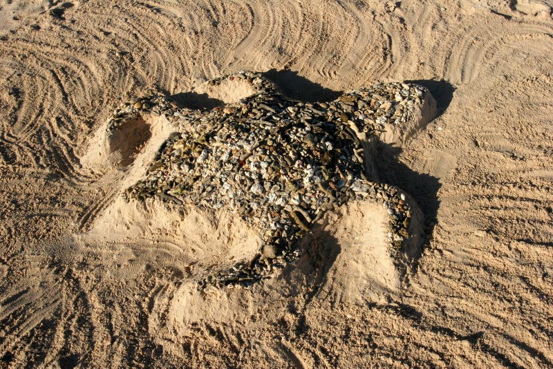 Beach Sand Turtle stock photo. Image of beach, bright - 54294156