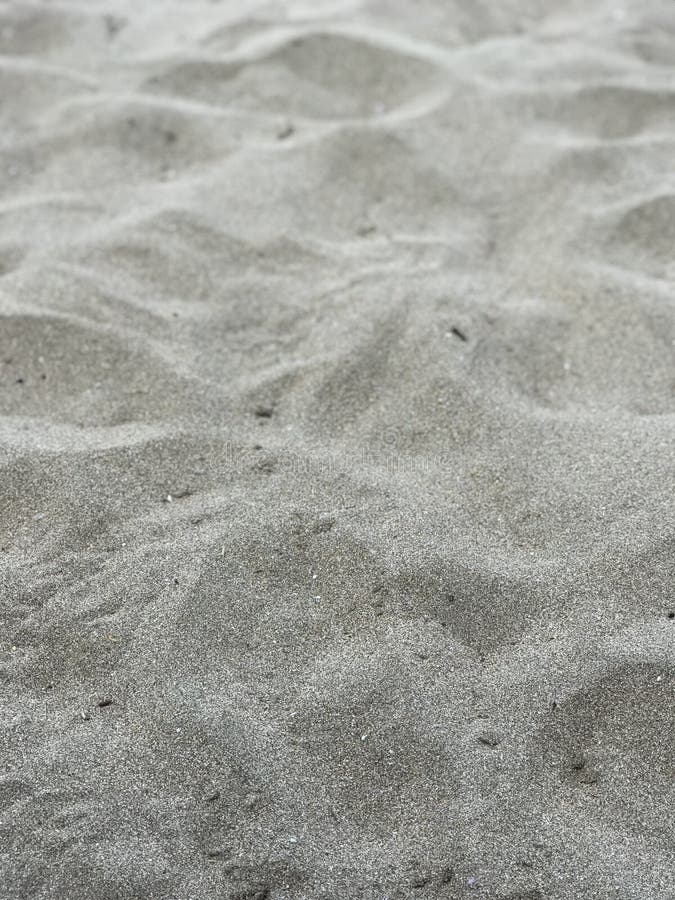 Beach sand upclose stock photo. Image of fine, upclose - 261939788