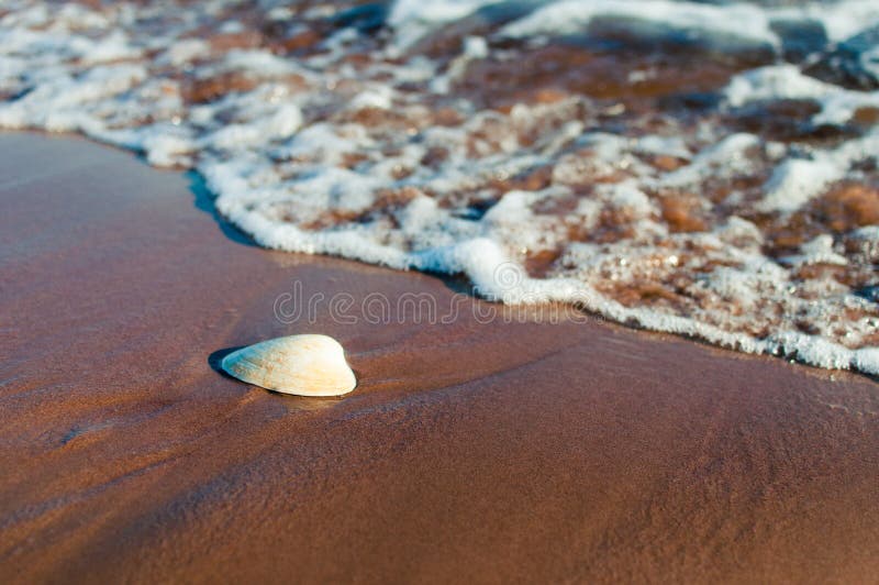 Beautiful Blue Ocean and White Sand Beach. Stock Image - Image of blue ...