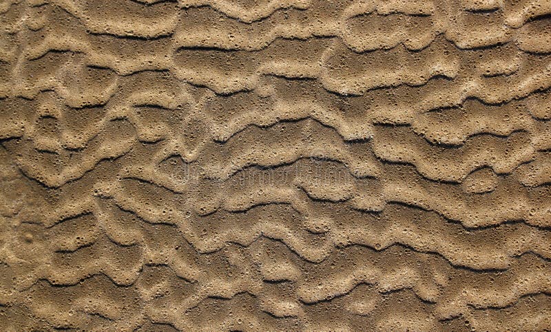 Beach Sand Waves Pattern Texture Brown Wet Stock Photo - Image of brown ...