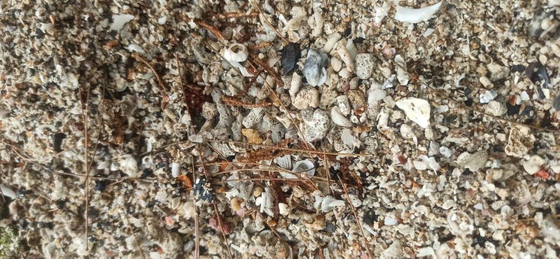 Beach Sand Which is Quite Large in Size but Beautiful Stock Photo ...
