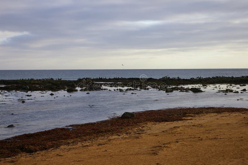 Beach stock image. Image of bridge, fence, beach, doorstep - 70385869