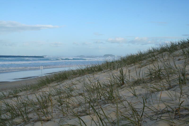 Australian Beach scene stock image. Image of australian - 62289