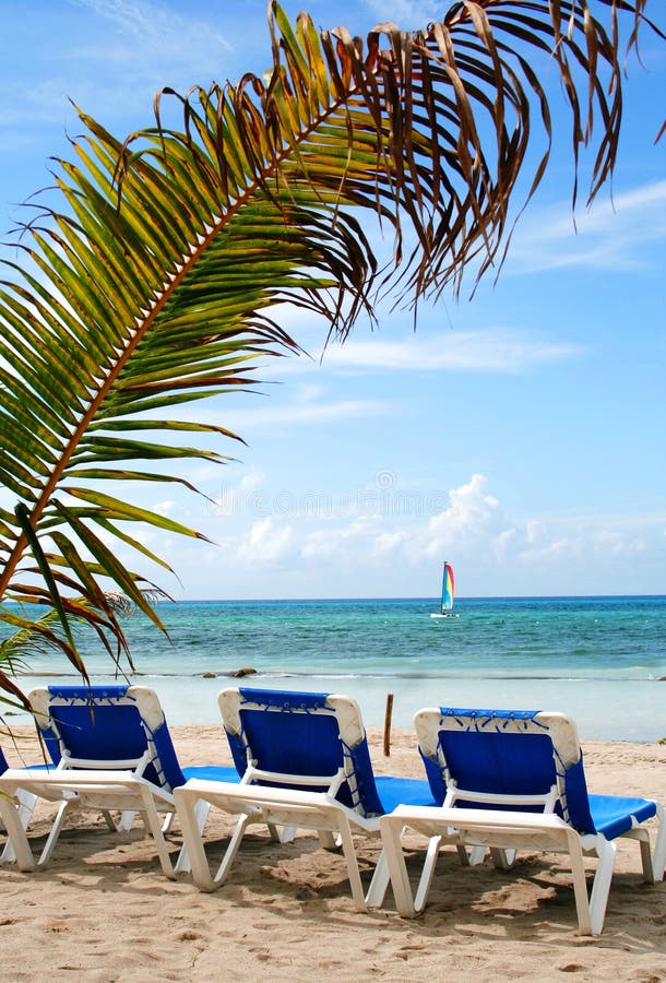 Caribbean beach scene stock photo. Image of hotel, relaxation - 19076324