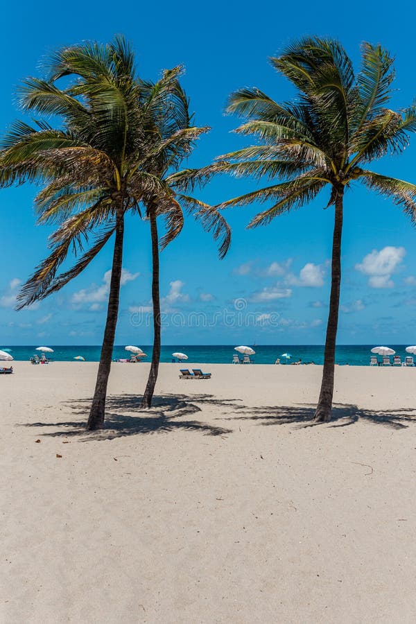 Beach Scene of the Atlantic Ocean on Singer Island Stock Image - Image ...