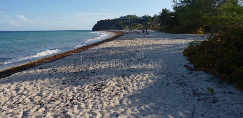 Beach Scene in Barbados, West Indies Stock Photo - Image of aqua ...
