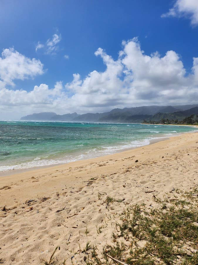 Beach Scene with Blue Green Water and Soft Sand Stock Image - Image of ...