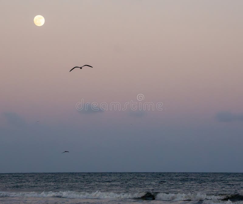 Beach scene at dawn stock image. Image of cloud, sunrise - 325912477