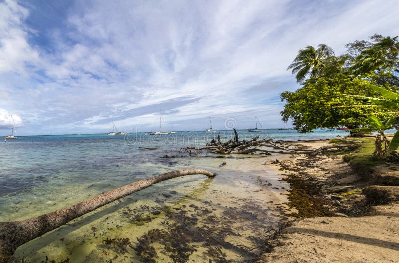Polynesian Landscape stock photo. Image of moorea, sand - 102411164