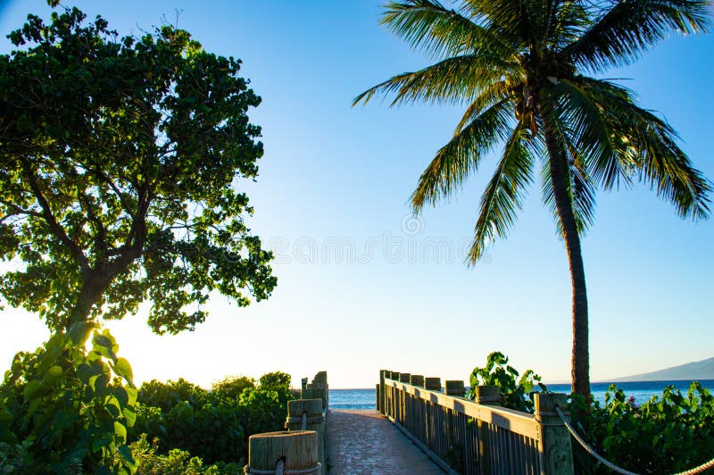 Beach scene Maui, Hawaii stock image. Image of pleasure - 243026583