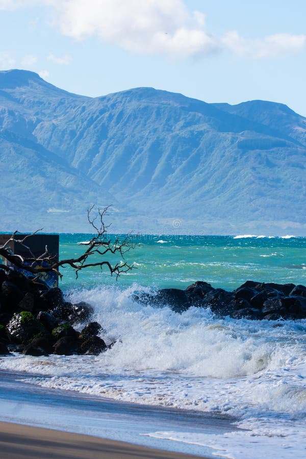 Beach scene Maui, Hawaii stock image. Image of pleasure - 243027031