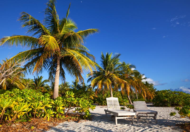 Beach scene stock photo. Image of water, destination - 54158746