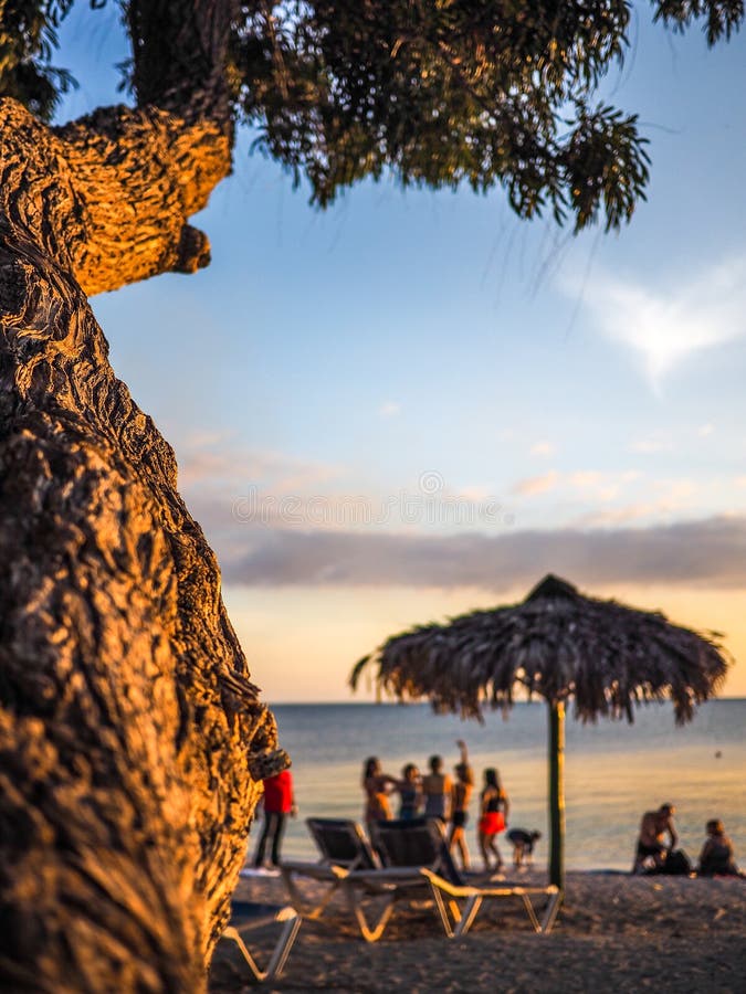 Beach scene at sunset stock photo. Image of enjoy, bath - 106731982