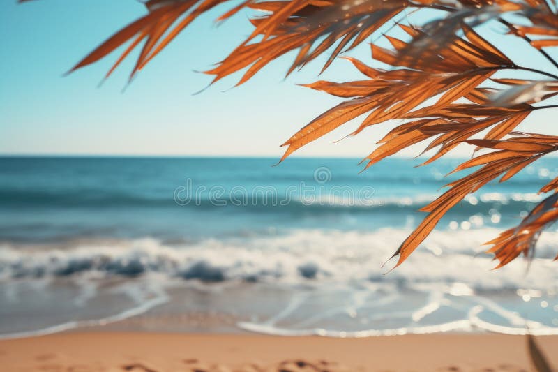 Beach Scene with Tree Branch in Foreground Stock Image - Image of ...