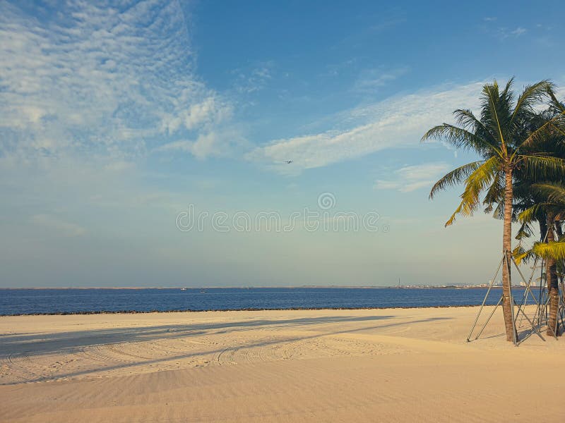 Beach Scenery in the Morning with Beautiful Coconut Tree, Will Relaxing ...